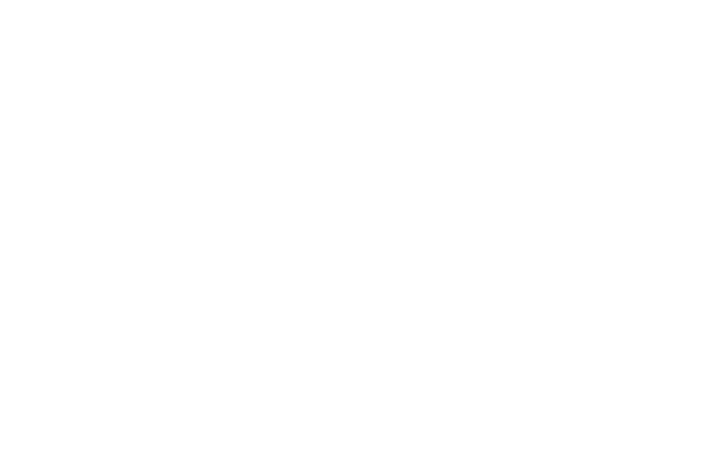 OUT RUNNER